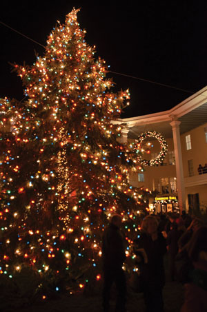 congresstree – High Tide