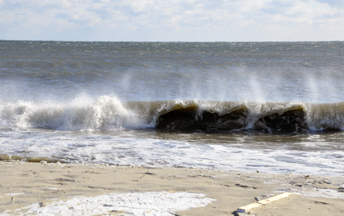 ColdWave – High Tide