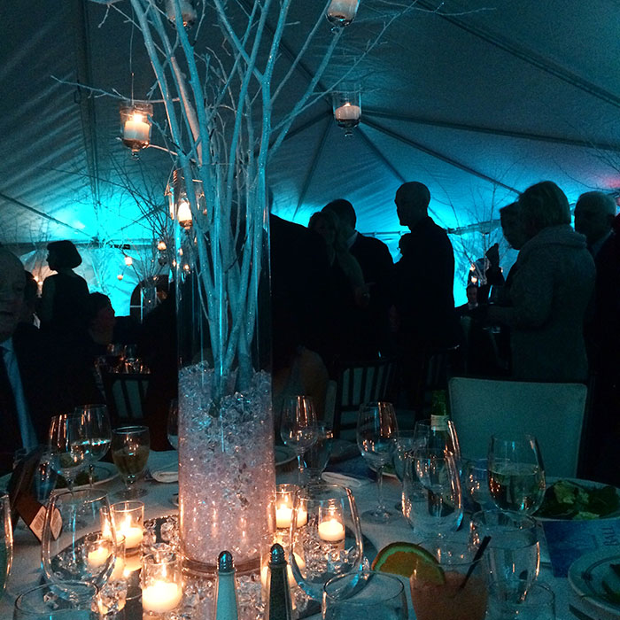 Inaugural Ice Ball raises over $185,000 – CapeMay.com Blog