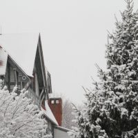 Gallery: Late January snowfall – CapeMay.com Blog