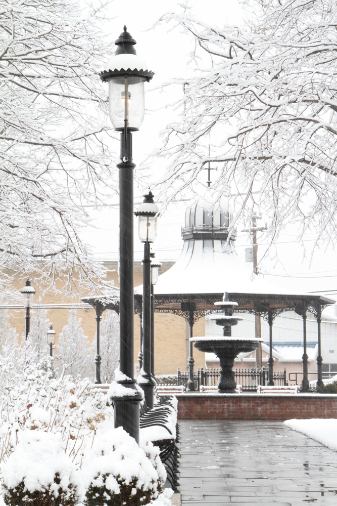Gallery: Late January snowfall – CapeMay.com Blog