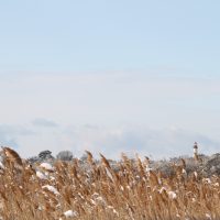 Gallery: Late January snowfall – CapeMay.com Blog