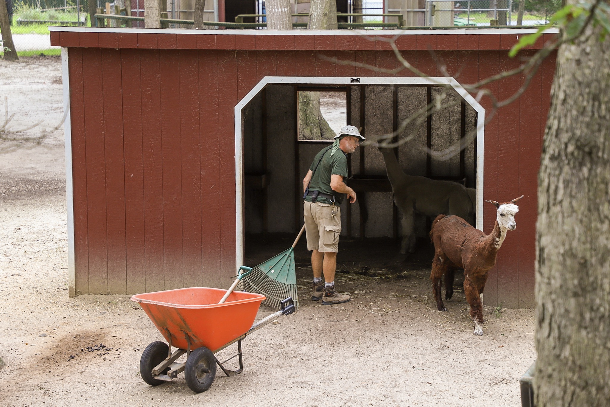 A Trip to the Cape May County Park & Zoo – High Tide