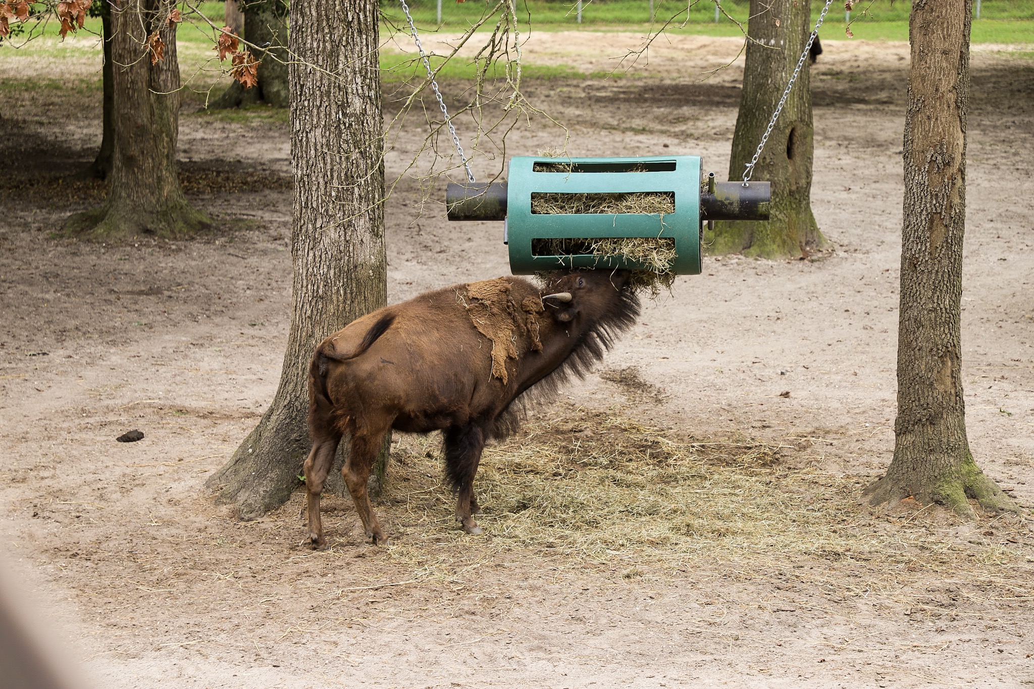 A Trip to the Cape May County Park & Zoo – High Tide