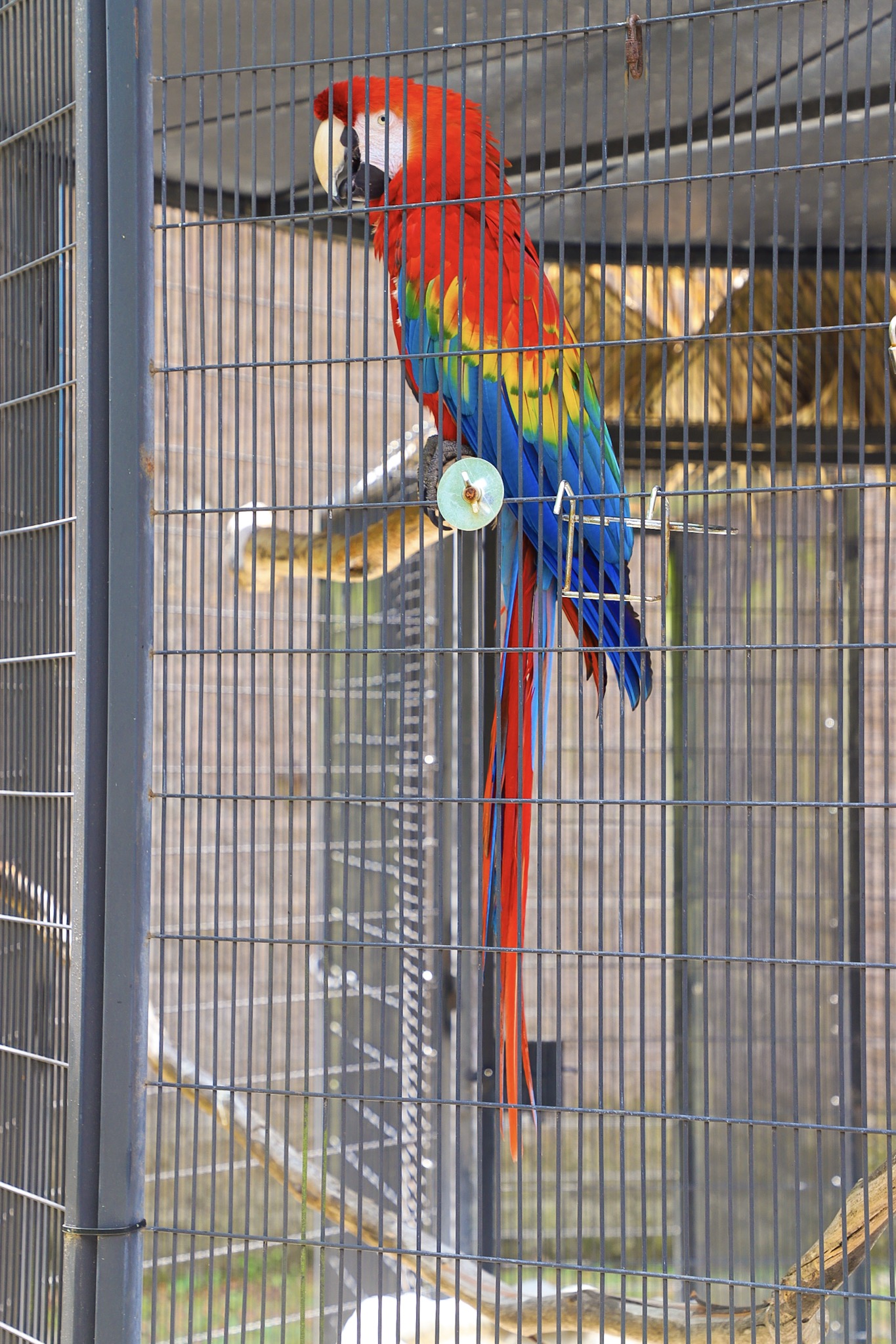 A Trip to the Cape May County Park & Zoo – High Tide