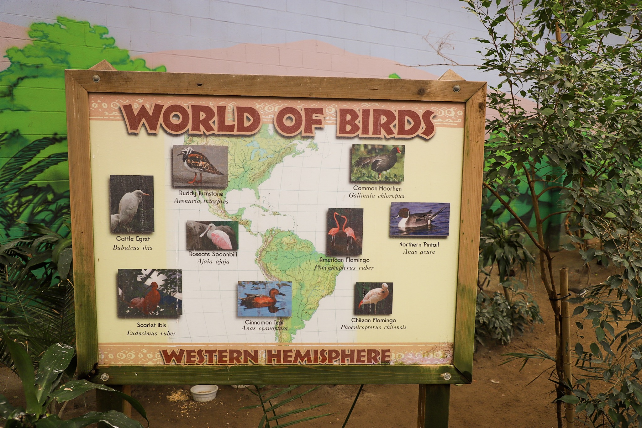 A Trip to the Cape May County Park & Zoo | CapeMay.com Blog