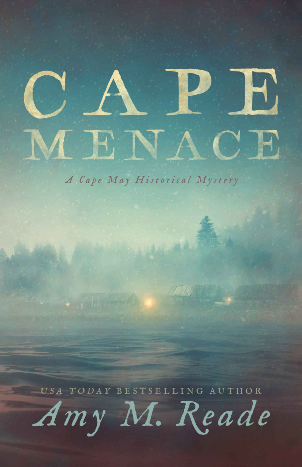 “Cape Menace” Q&A with author Amy M. Reade – CapeMay.com Blog