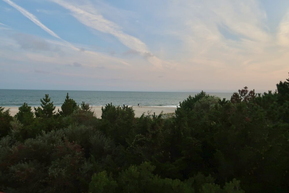 Cape May Point Science Center hosts the da Vinci Gala fundraiser – High ...