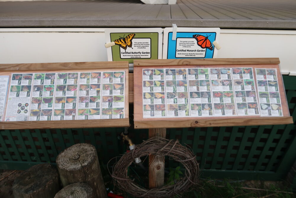 Cape May Point Science Center hosts the da Vinci Gala fundraiser – High ...