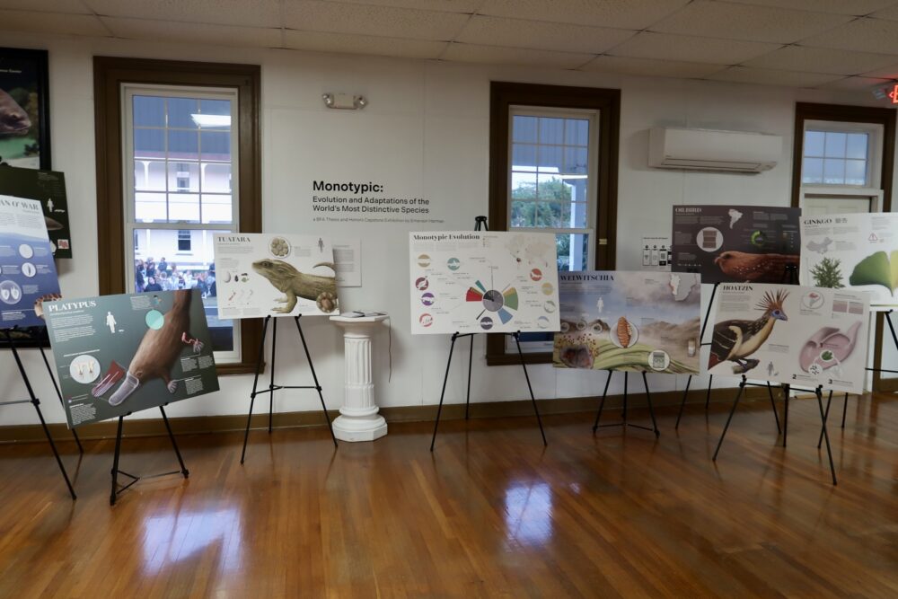 Cape May Point Science Center hosts the da Vinci Gala fundraiser – High ...