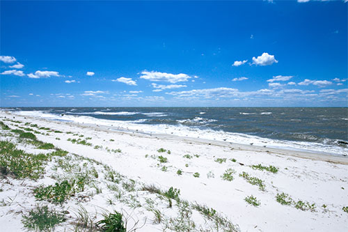 Cape May Beaches | Cape May Beach Tag Information | CapeMay.com