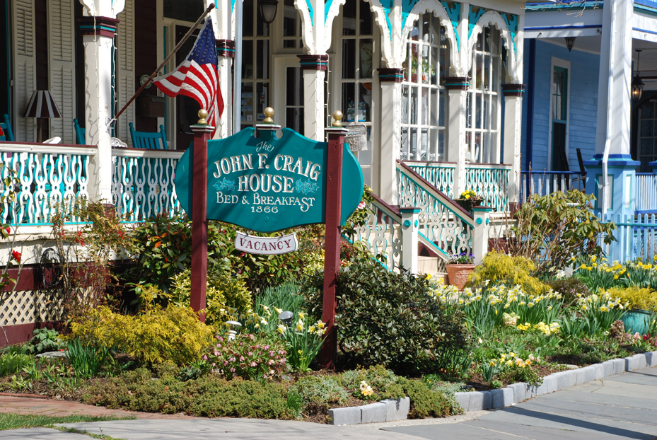 Yellow is the color this Spring – Cape May Picture of the Day