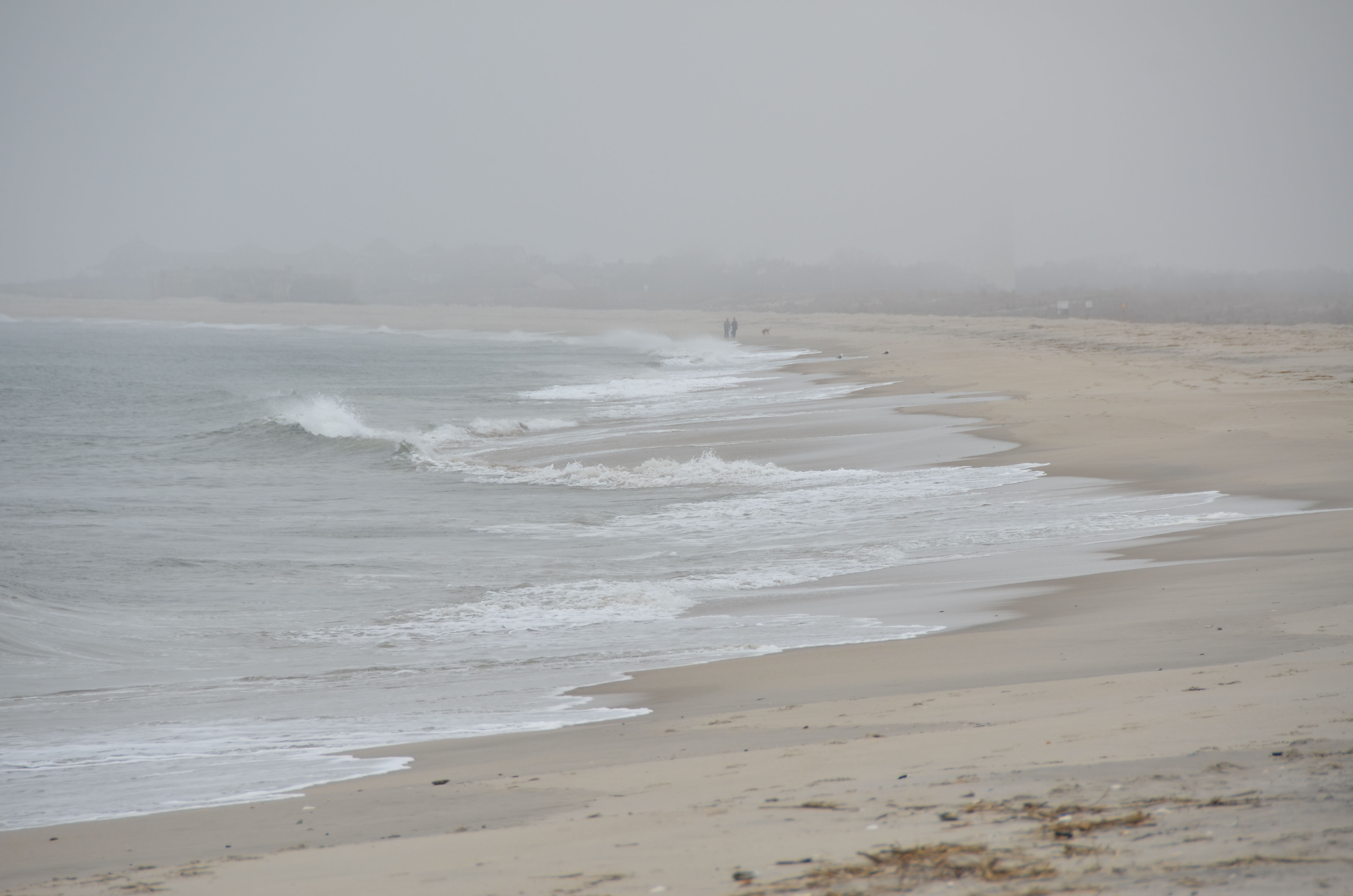 Foggy shore – Cape May Picture of the Day