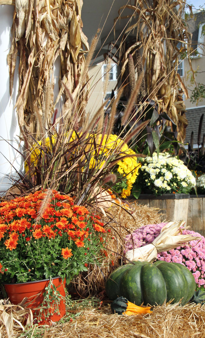 Fall is here in Cape May – Cape May Picture of the Day