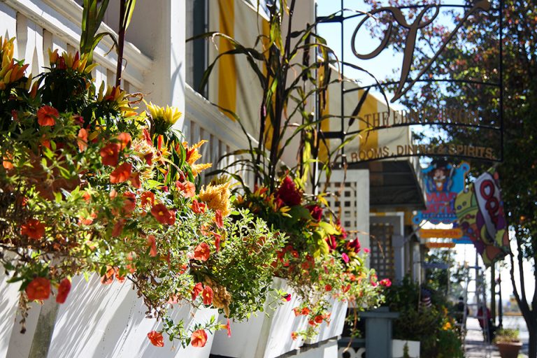 Colors of Autumn – Cape May Picture of the Day