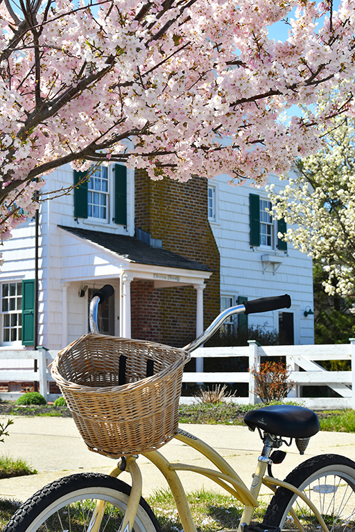 Sights of Spring – Cape May Picture of the Day