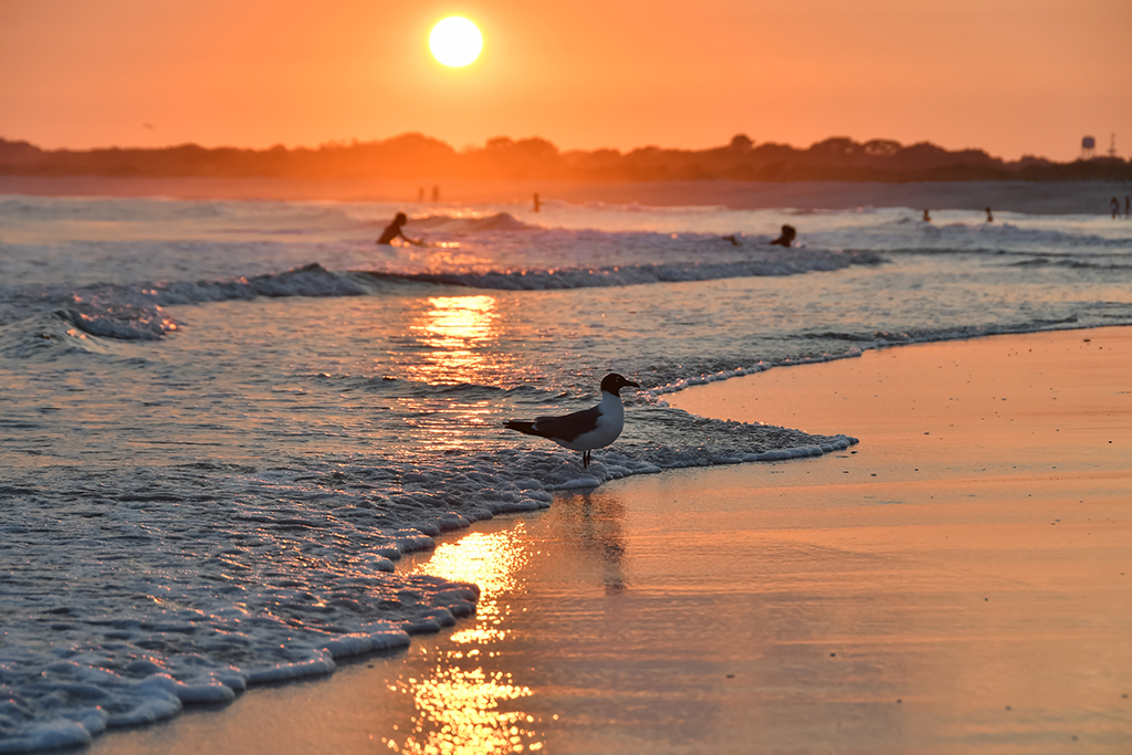 Perfect Weekend Weather – Cape May Picture of the Day