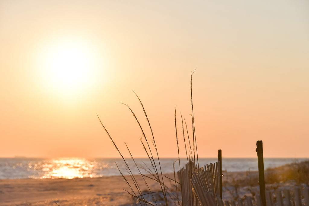 Saturday Sun Shining – Cape May Picture of the Day