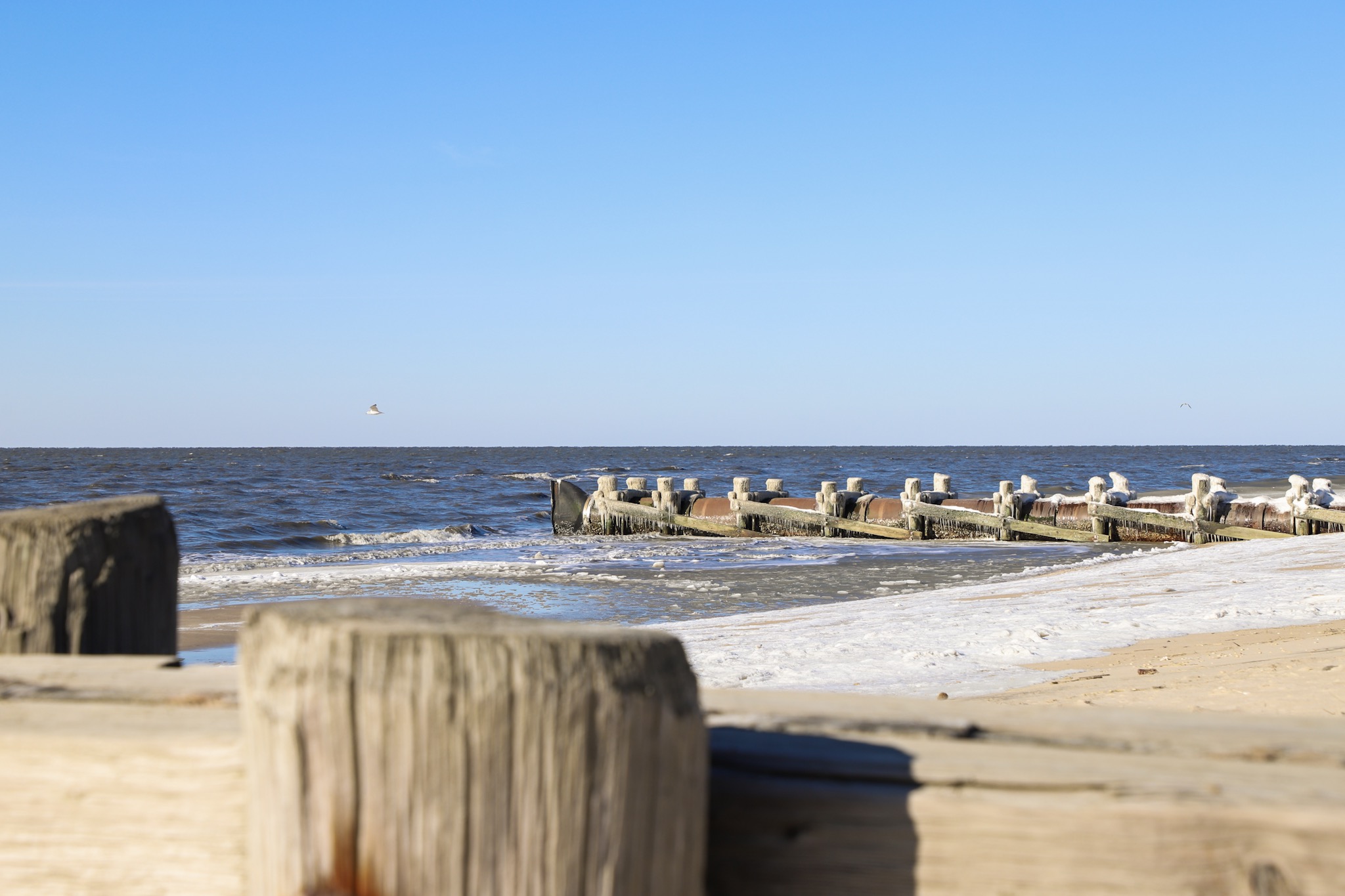 Thoughts of Spring – Cape May Picture of the Day