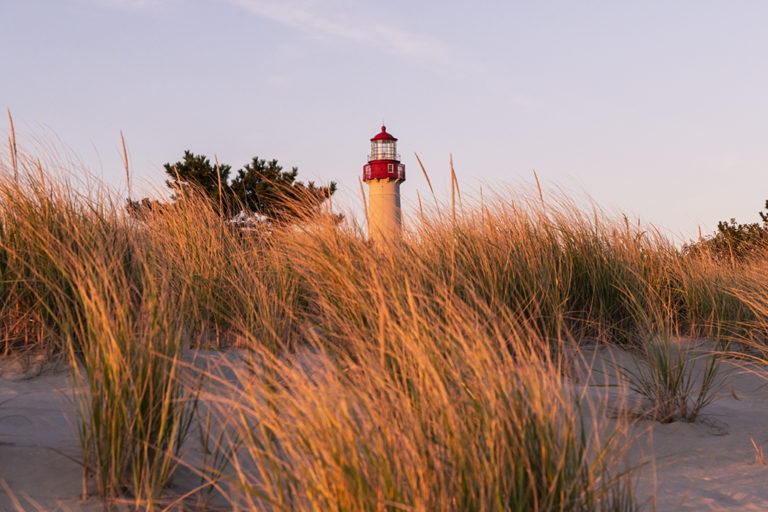 Finding Fall Colors – Cape May Picture of the Day