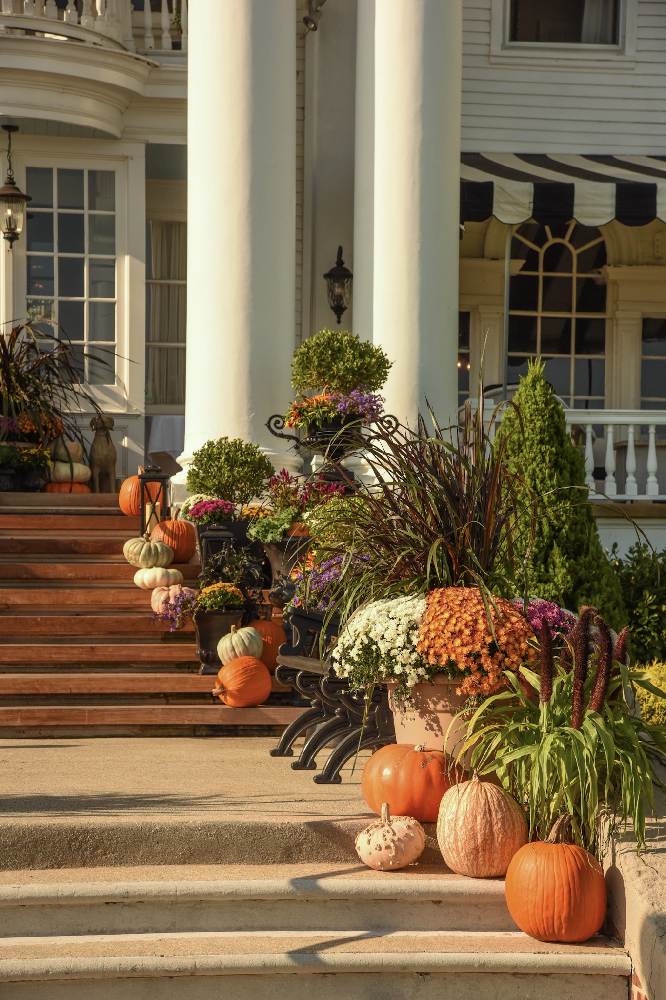 Looks like Fall – Cape May Picture of the Day