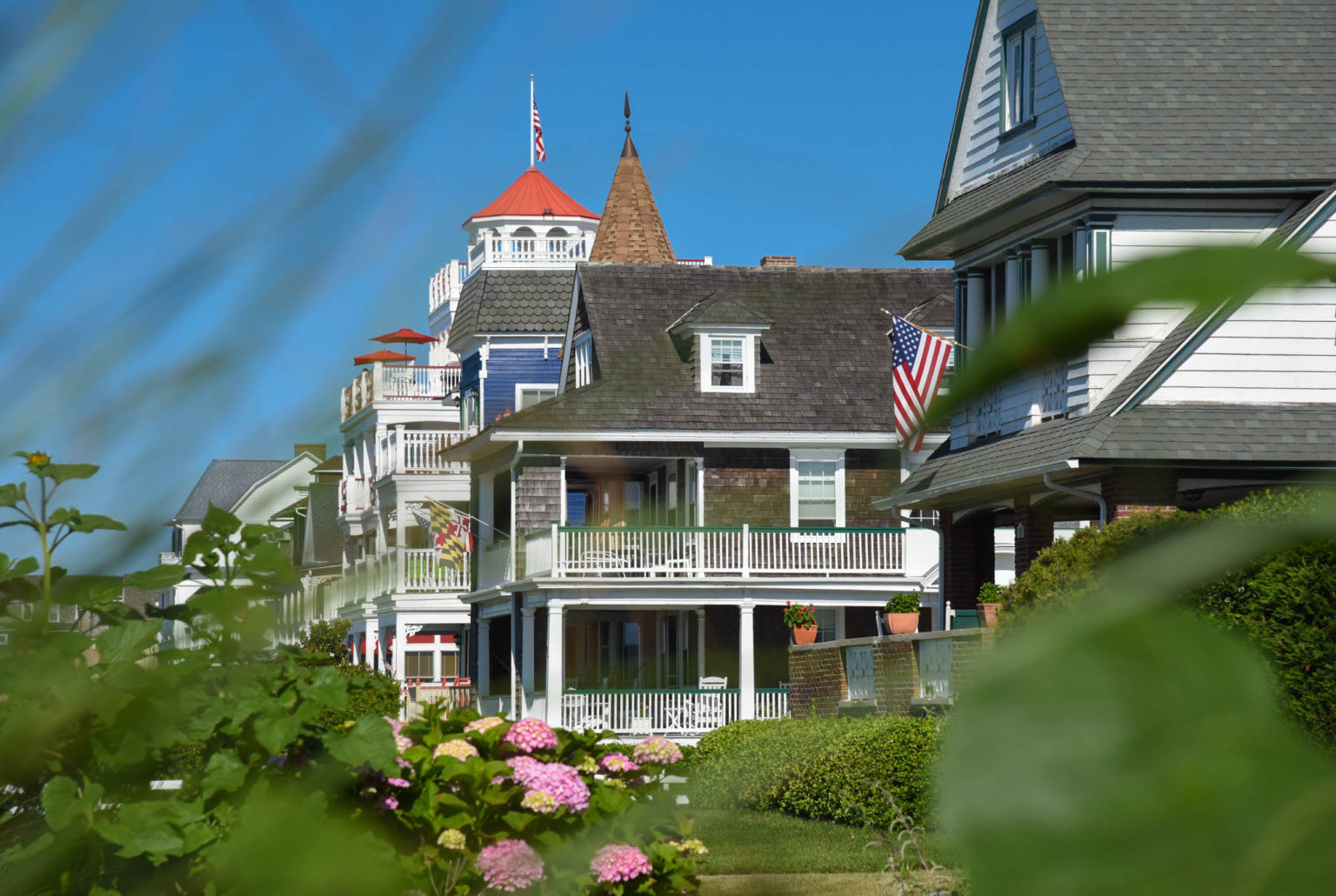 Peeking Through – Cape May Picture of the Day