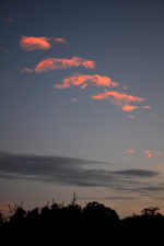 Roseate formation – Cape May Picture of the Day