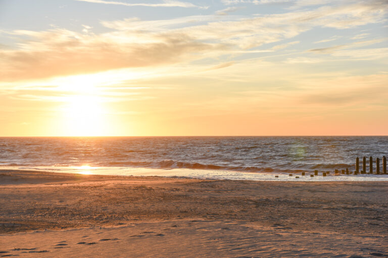 Cape May Picture of the Day – Page 5 – CapeMay.com