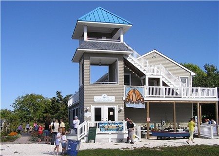 Nature Center of Cape May - Cape May Experiences and Activities